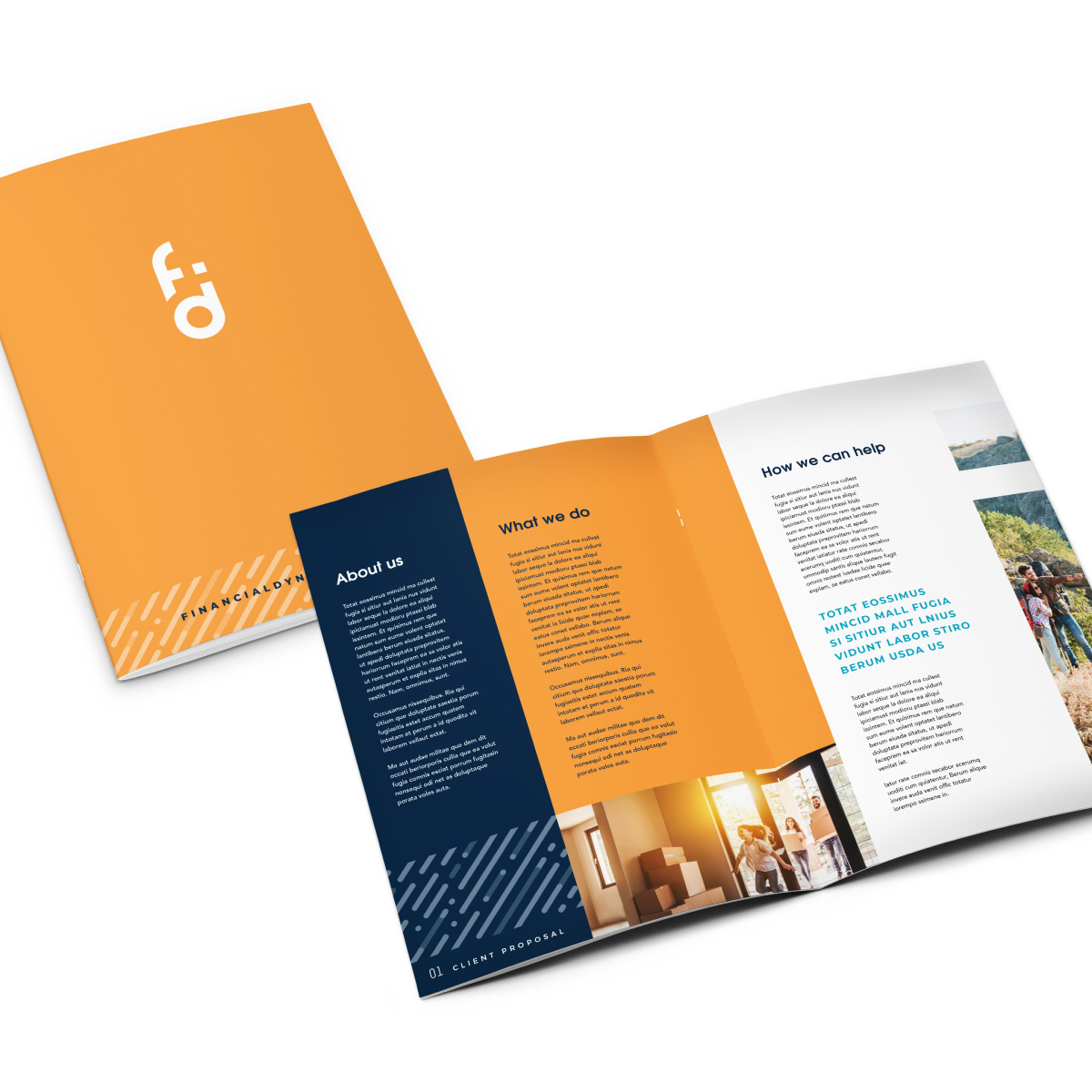 Financial Dynamics Brand Development - WISDOM Creative & Web