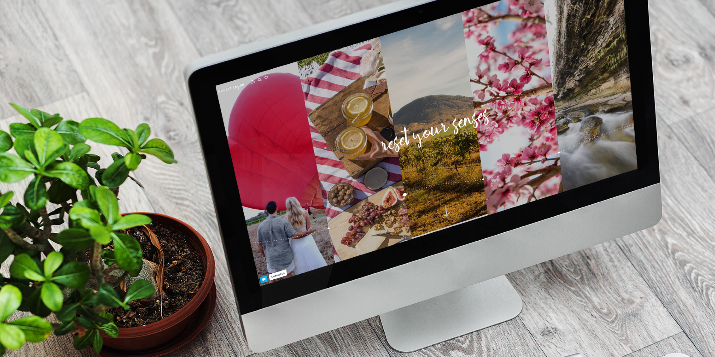 Mudgee Region Website and Visitor Guide - WISDOM